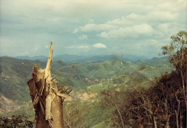 Operation Scotland II